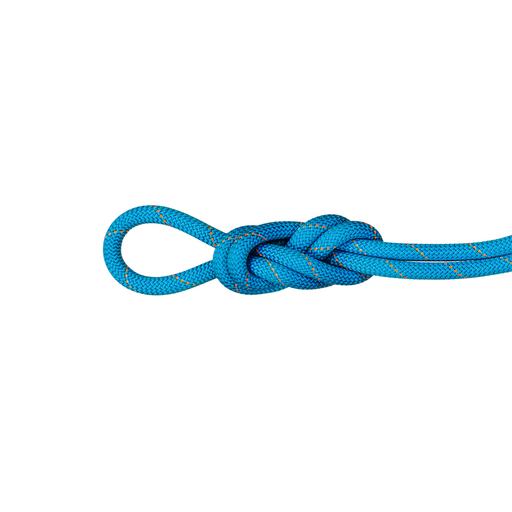 9.9 Gym Workhorse Dry Rope | Mammut