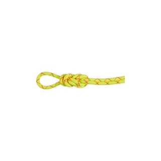 9.5 Alpine Core Protect Dry Rope 40m | Mammut
